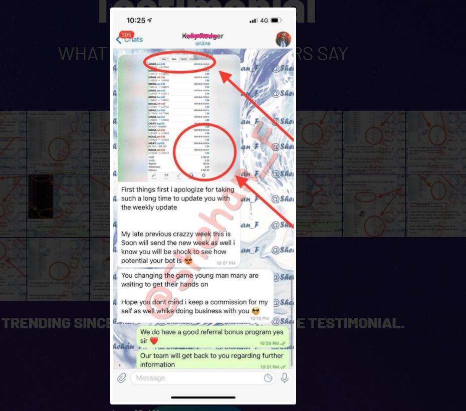 Fly Higher Nova Review: Does It Win or Lose? – FX RobotZ