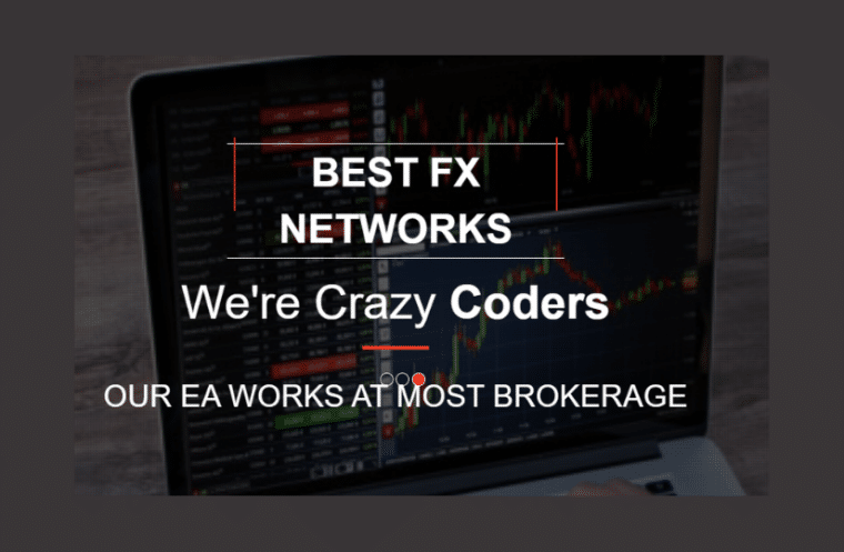Best FX Networks Review: Does It Win or Lose? – FX RobotZ